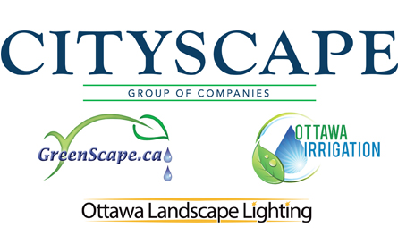 About Us – Cityscape